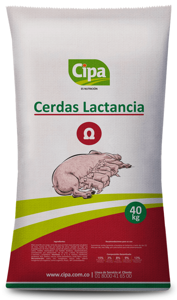 Porcicultura - Cipa - Es nutrición
